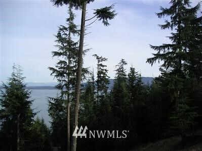 MLS#26020729: 38 Raven Lane, Orcas Island, WA 98245