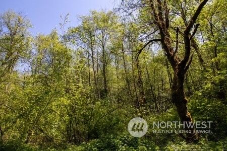 MLS#2216376: 0 Libby Road NE, Tumwater, WA 98506